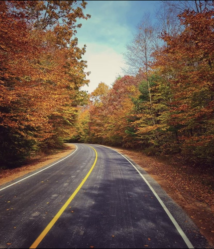 The Beauty of October – Batstone Home